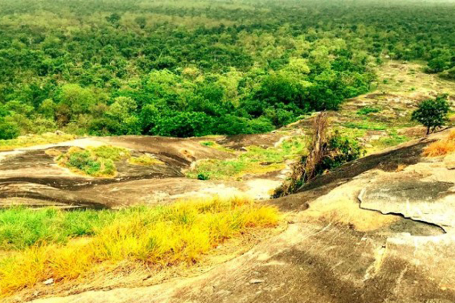 Old Oyo National Park – Ilana Omo Oodua Canada Chapter